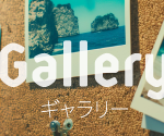 ギャラリー → solas